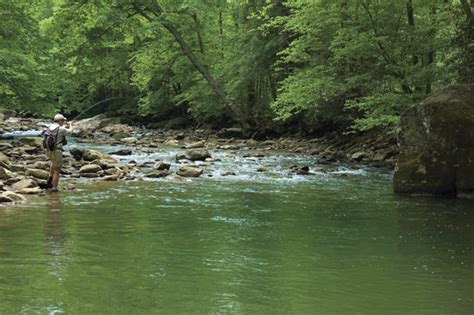 Fly Fishing West Virginia Trout Streams Fly Fisherman