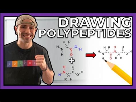 Polypeptide Sketch