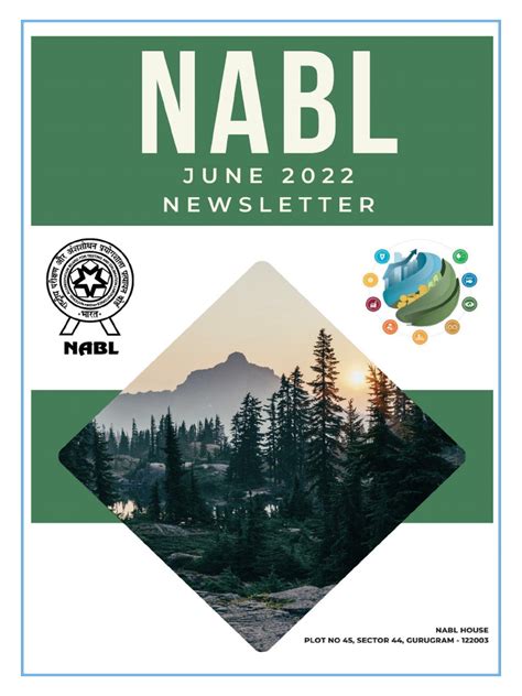 Nabl Newsletter June 2022 Pdf Shoe Boot