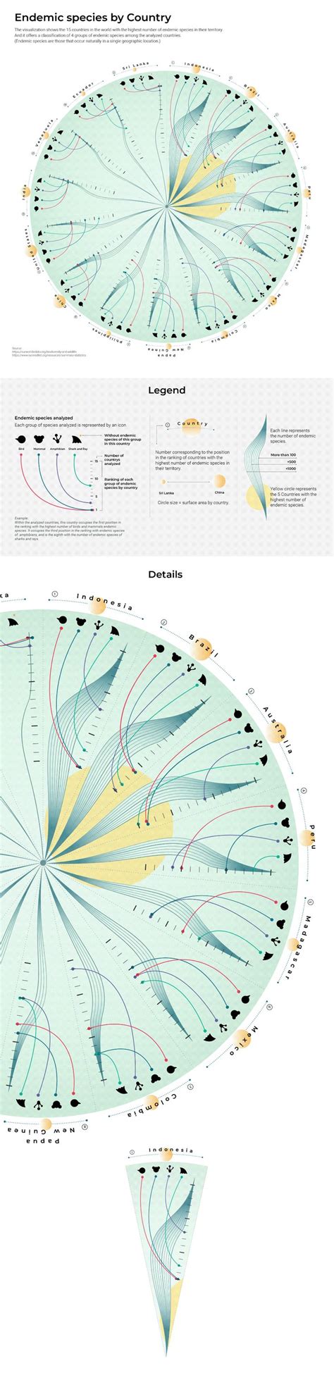 data visualization data visualization design data visualization infographic data