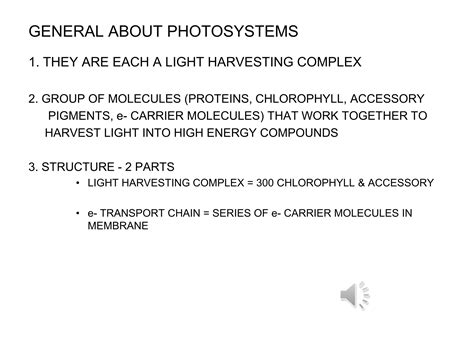 Photosynthesis Light Dependent Reaction Ppsx
