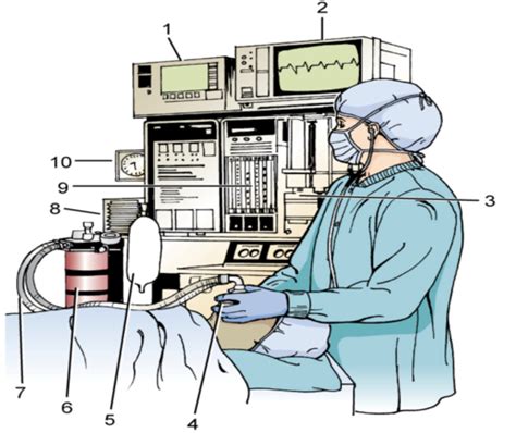 Anesthesia Part I Flashcards Quizlet