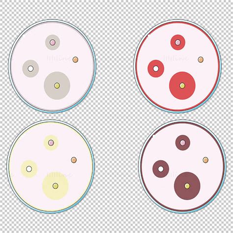 Antibiogram Vector Antibiogram Vector