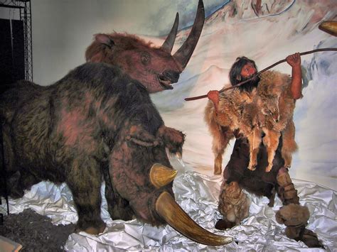 Woolly Rhinoceros Hunt Horniman Museum London Walk Wit Flickr