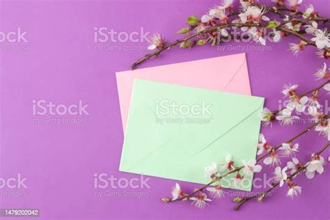 꽃이 만발한 가지 봄 꽃과 밝은 라일락 배경에 색 봉투 상위 뷰 0명에 대한 스톡 사진 및 기타 이미지 0명 3월 개념 Istock