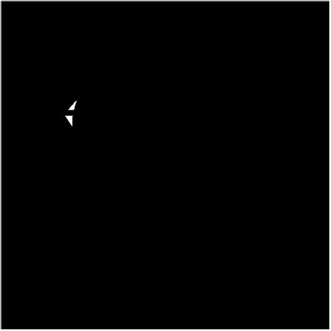 Error Rasterize Vector To Presence Absence Raster Incorrect In R