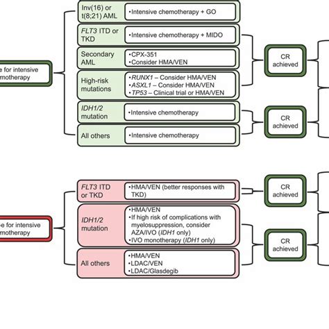 Treatment Algorithm For Newly Diagnosed Patients With Aml Fit For