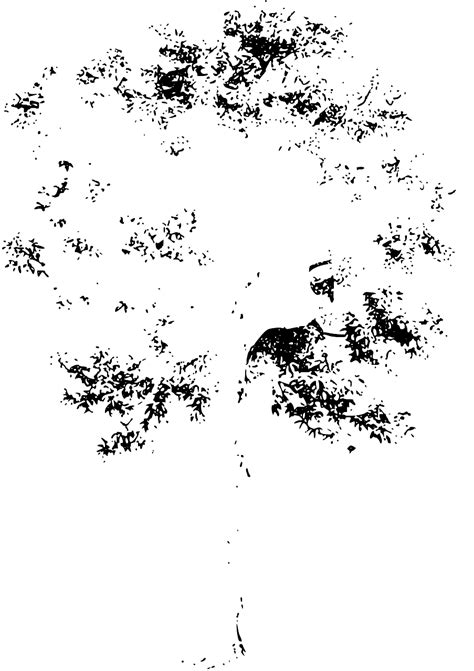 SVG Tree Images Leaf India Free SVG Image Icon SVG Silh