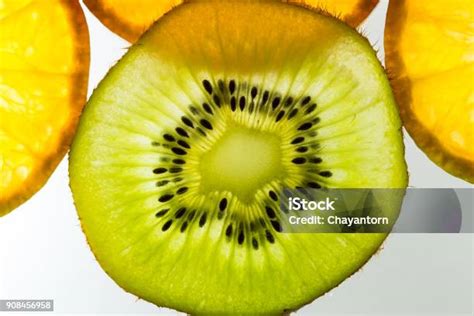 소프트 포커스 실루엣 감귤 류 과일 오렌지와 키 위 조각 추상 배경 클로즈업입니다 스튜디오 사진입니다 0명에 대한 스톡 사진 및 기타 이미지 Istock