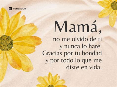 33 Frases Para Madre Fallecida Que Expresan Un Amor Eterno Pensador