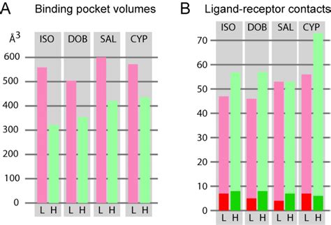 Analyses Of The Orthosteric Binding Site In Active State Structures Of