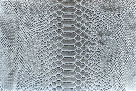76 Beautiful Dark Gray Python Skin Reptile Royalty Free Images Stock
