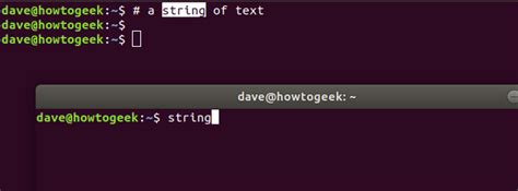 How To Copy And Paste Text At Linuxs Bash Shell