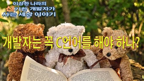 개발자는 꼭 C언어를 해야 하는가프로그래머개발자it개발 Youtube