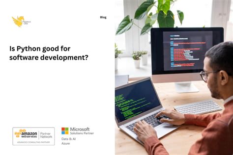 Is Python Good For Software Development Pegasus One