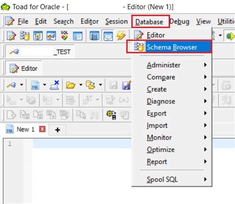 análisis y programación depurar un paquete de oracle con toad