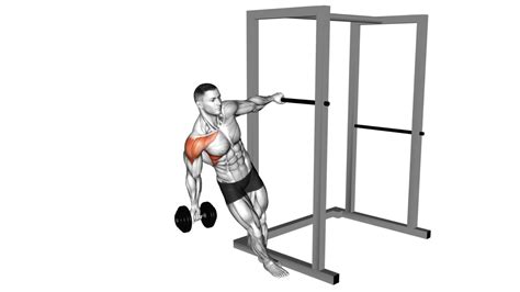 10 Exercises For Side Deltoids That Will Transform Your Shoulders Workout Guru