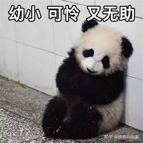 不到100行代码实现siri语音控制 Esp32学习之旅 Arduino版 知乎