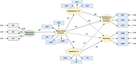 The Structural Model With A Standardized Solution Download Scientific Diagram