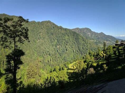 Shoja Himachal Pradesh Manali What To Expect Timings Tips