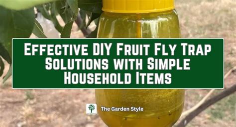 Effective Diy Fruit Fly Trap Solutions With Simple Household Items