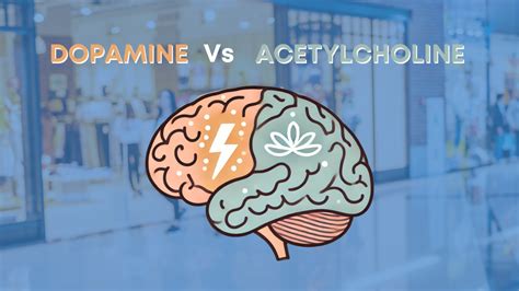 Dopamine Vs Acetylcholine The Neuroscience Keys To Boosting Engagement