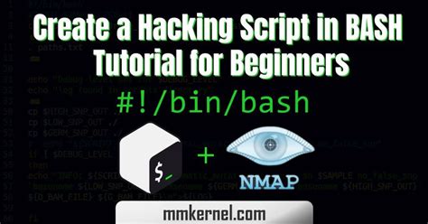 Create A Hacking Script In Bash Tutorial For Beginners