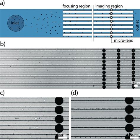 A Schematic Of The Microfluidic Device And Detection Scheme Used In Download Scientific