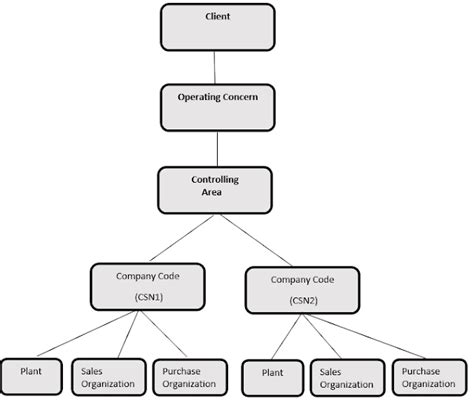 SAP CO Organizational Structure Sap Controlling CO