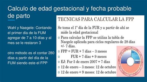 Edad Gestacional Calculadora De La Edad Gestacional Uotdcz