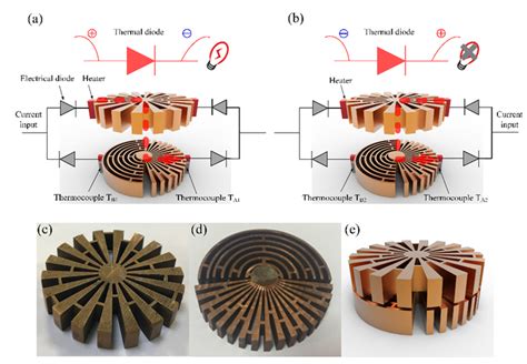 Macroscale Thermal Diode Like Black Box With High Transient Rectification Ratio