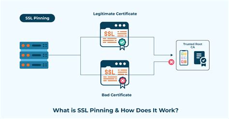 What Is An Ssl Certificate And How Does It Work What Is Ssl