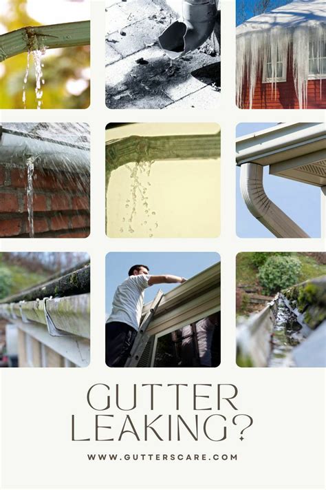 Seal The Deal Comparing The 3 Best Gutter Sealants For Your Next