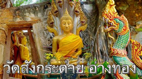 วัดสังกระต่าย วัดสวย อ่างทอง มหัศจรรย์ต้นโพธิ์ล้อมโบสถ์ 400 ปี Youtube