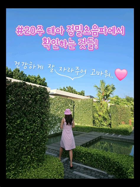 태아정밀초음파에서 확인하는 것들 태아 정밀초음파 전 영상 보고 가세요~ Youtube