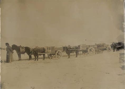 Цэнджав On Twitter Жин тээх хамгийн сүүлийн жин тээж явсан хамаатны өвгөн ах маань нас өндөр