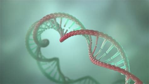 Ngs For Molecular Monitoring Of Cml Patients