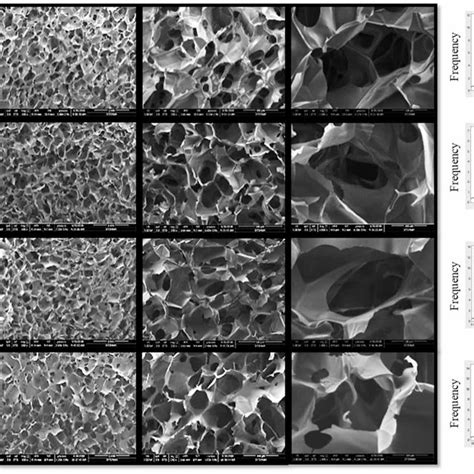 Sem Images Average Pore Size And Pore Size Distribution Histogram Of