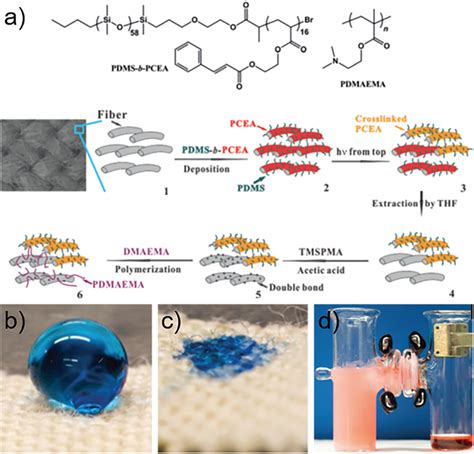 A Preparation Process Of The Bifunctional Janus Membrane Modified By Download Scientific