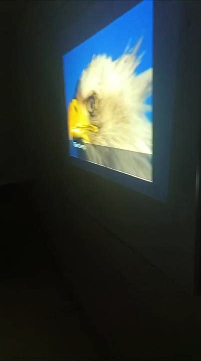 Syeda Sidra On Linkedin Digitalmarketingtrainee Navttc Navttcsindh Navttckarachi