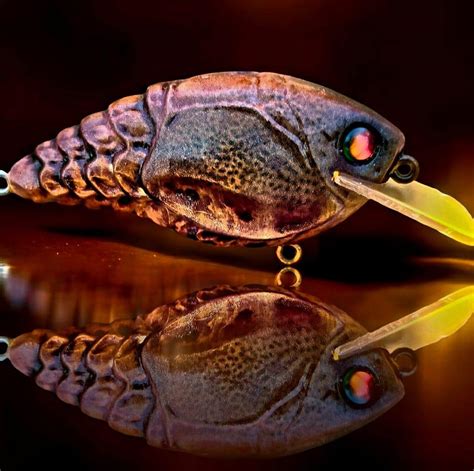 Anthem Baits Anna Tx