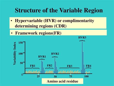 Ppt 第 4 章 免疫球蛋白 （ Immunoglobulin，ig） Powerpoint Presentation Id 7074253