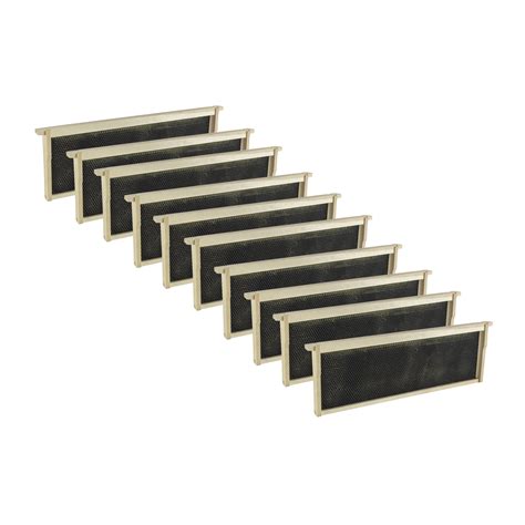 Wooden Bee Frames With Foundation Pre Assembled Shop Acorn Bee Llc