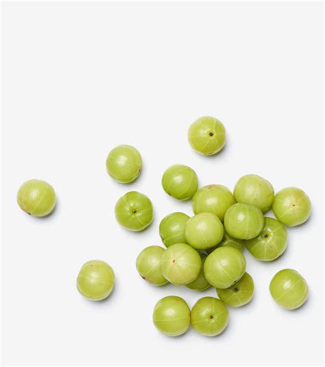 Amla Fruit Extract - Gundry MD®