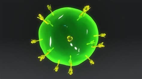 T Helper Cell 3d Model 99 Obj Unknown Ma Free3d