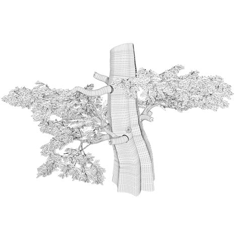 Western Juniper Tree 10 3d Model By Antoniokowatsch