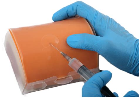 Digital Injection Trainer At Rs 8450 In New Delhi Id 2854391611073