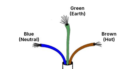 A Beginners Guide To Hot Neutral And Ground Wires Sincede
