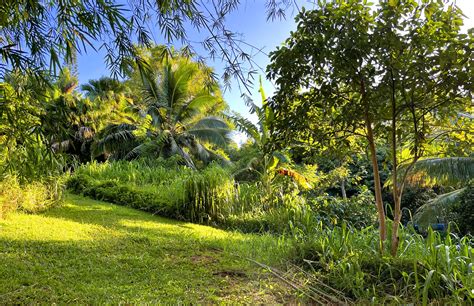 Become A Tantra Coach Healthy Sexuality Fulfilling Relationships Sacred Loving Tantra