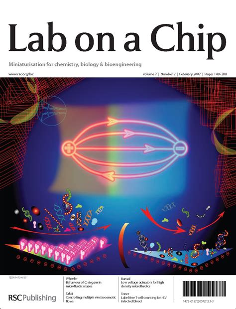 Yan Xu S Nanofluidics LabNanoBioChem IntegrationOsaka Metropolitan University OMU